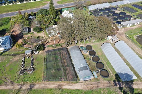 Nembwe Fish Farm - Nembwe Fish Farm