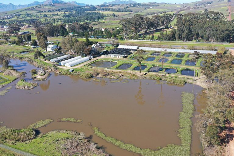 Nembwe Fish Farm - Nembwe Fish Farm