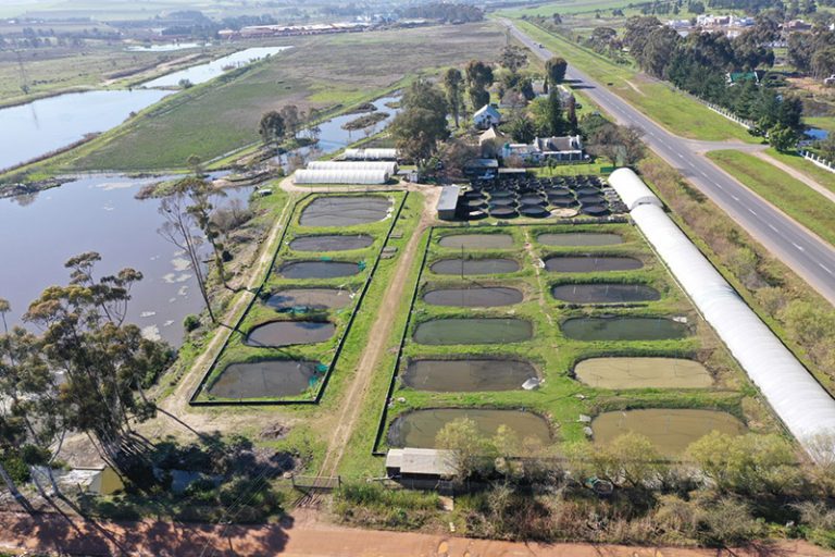Nembwe Fish Farm - Nembwe Fish Farm